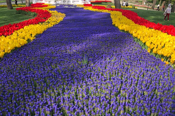 Tulip Guided Tour in Emirgan Park with Bosphorus Ferry Ride Harga Promo ...