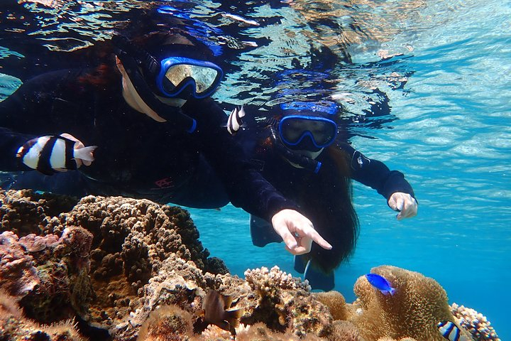 [Okinawa Miyako] [1 day] Superb view beach SUP / Canoe & sea turtle ...