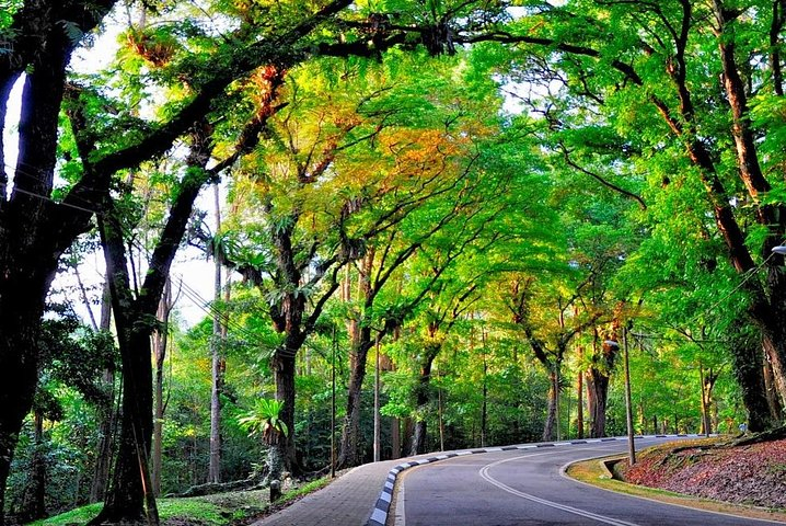 Forest Research Institute Malaysia (FRIM) Nature Trekking Tour Harga ...