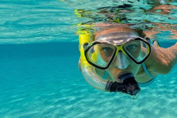Paket Reef Snorkel and Paddle Adventure in Fort Lauderdale Beach ...