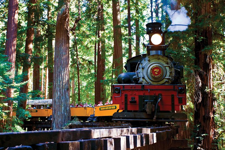 BEST Redwood Forest Steam Train and Santa Cruz Harbor Day Trip 50% Off ...
