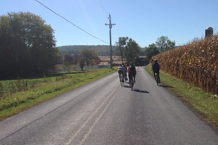 D&R Canal Towpath eBike Tour - New Hope, Lambertville, Stockton ...