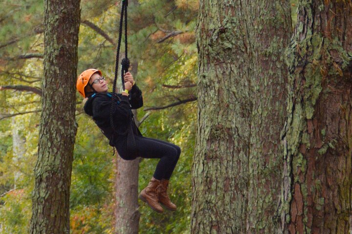 The Raptor, High Rope Course and Zipline Tickets, Wheeler Lake KOA ...