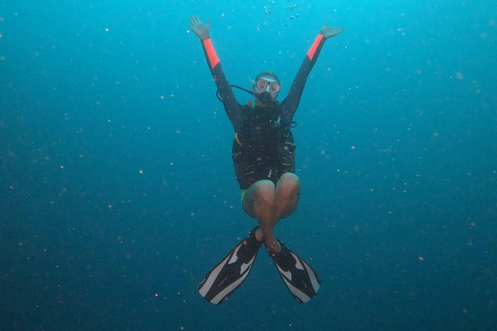 PADI Discover Scuba Dive at Sail Rock from Koh Phangan (Beginners ...