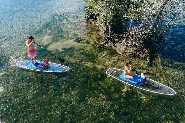 Clear Paddle Board Tour of Silver Springs Harga Promo Terbaru 2023