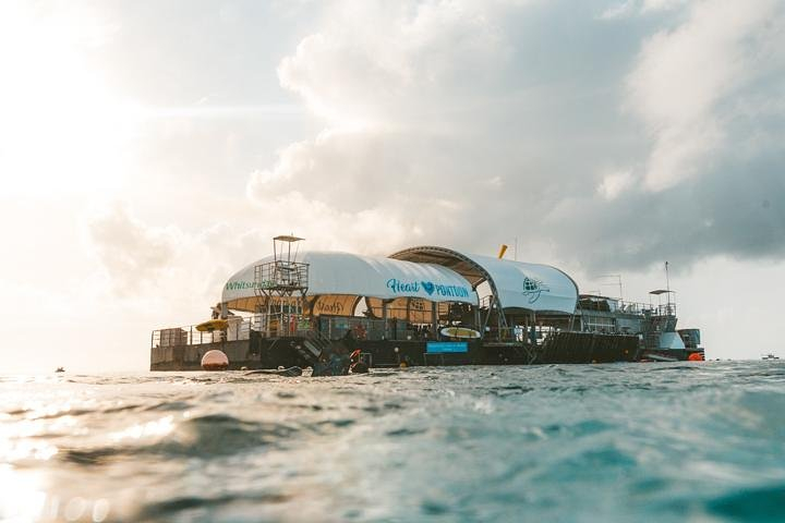Tiket Heart Pontoon Great Barrier Reef Express Harga Promo - tiket.com Tiket Heart Pontoon Great Barrier Reef Express Harga Promo - tiket.com