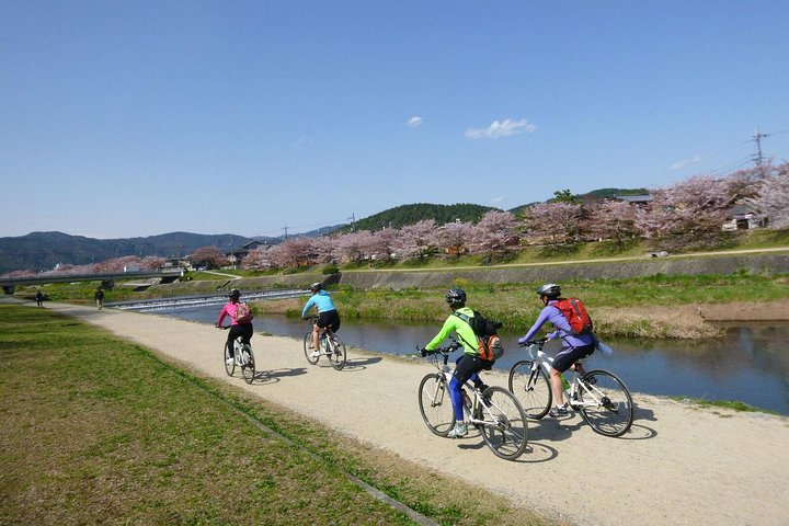 Cycle along the ancient canals of Kyoto: Kyoto Small Group Bike Tour ...