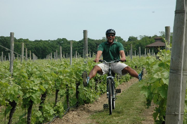 Mattituck Bike Wine Country and Fruit Orchard Tour Harga Tiket Promo Up ...