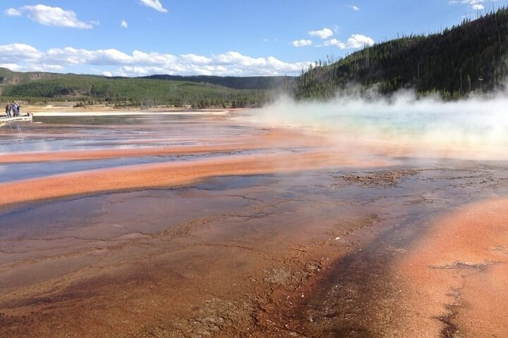 “ALL INCLUSIVE”Grand Loop Yellowstone Wildlife and Photo Tour Harga ...