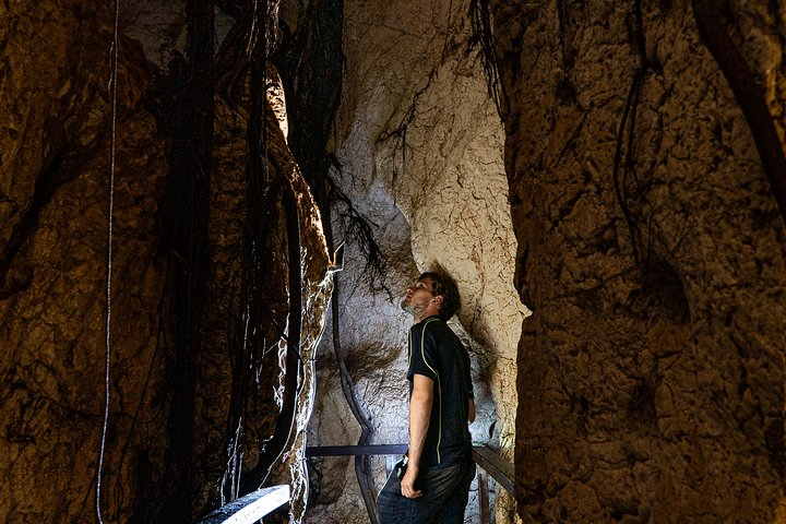 Capricorn Caves Cathedral Cave Tour Harga Promo Terbaru 2023