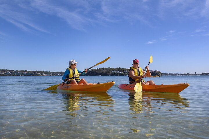 Beginner's Kayak Tour in Sydney - Gorgeous Aussie Beaches and Bays ...