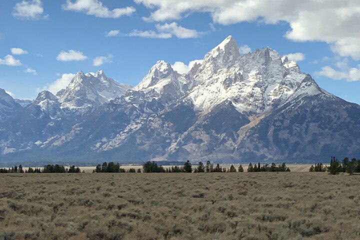 “ALL INCLUSIVE”Grand Loop Yellowstone Wildlife and Photo Tour Harga ...