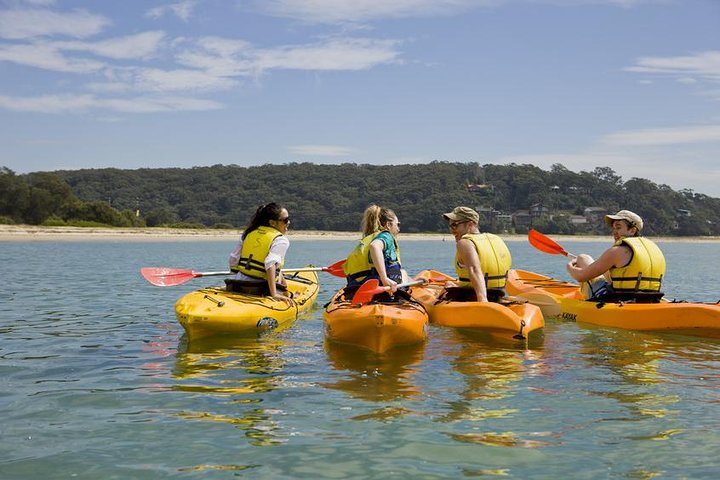 Beginner's Kayak Tour in Sydney - Gorgeous Aussie Beaches and Bays ...