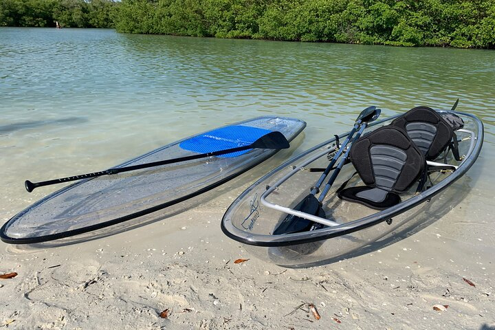 Island Mangrove Tour by CLEAR Kayak and Paddleboard - Bonita Springs ...