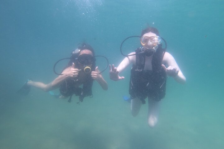 Panama City Scuba Diving Activity for Beginners Promo Up to 7%