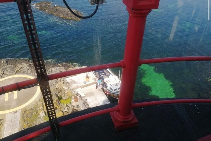 Farne Islands Longstone Lighthouse 2-Hour Trip from Seahouses Harga ...