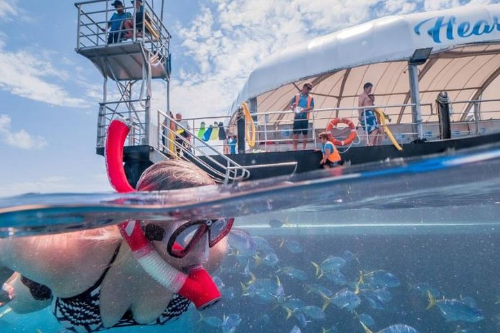 Tiket Heart Pontoon Great Barrier Reef Express Harga Promo - tiket.com Tiket Heart Pontoon Great Barrier Reef Express Harga Promo - tiket.com