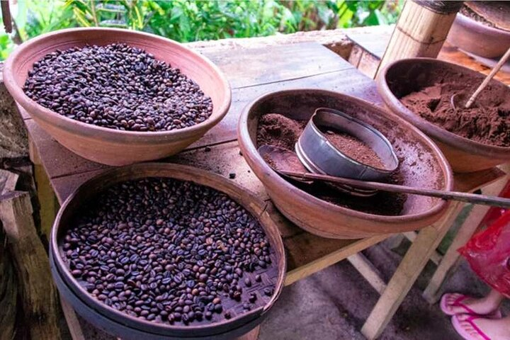 Bali Swing Ubud Tour with Lunch Harga Promo Terbaru 2023