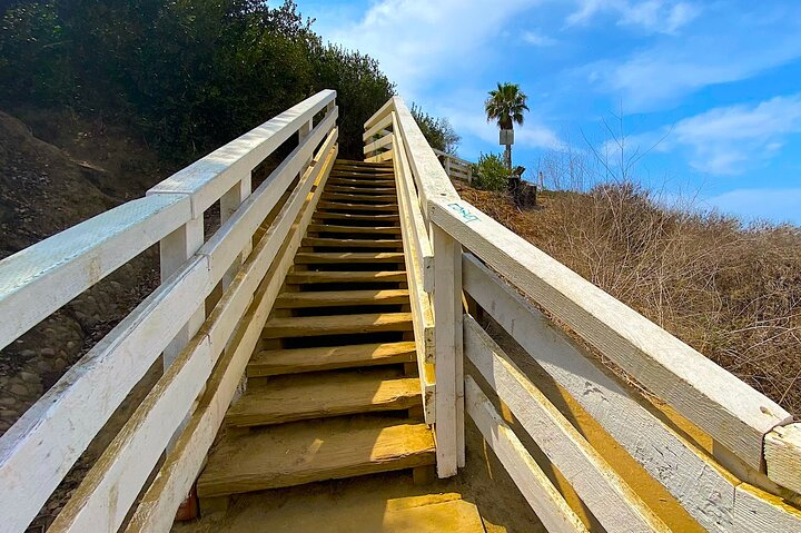 La Jolla Coast Walking Tour Harga Promo Terbaru 2023