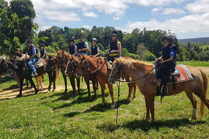 Horse Riding with Petting Zoo Visit in Cairns Harga Promo Terbaru 2023