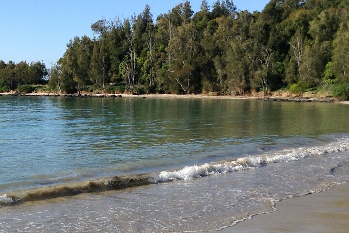 Broulee Island Nature Reserve: A self-guided audio tour of the island ...