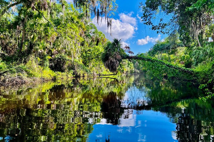 Paket 2 Hour Guided Stand Up Paddle Board Tour along Upper Manatee ...