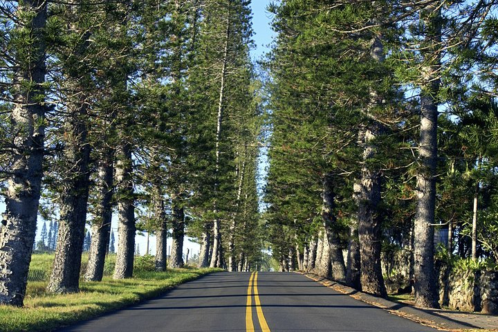 Road to Hana Day Trip Diskon 50% Harga Tiket Masuk