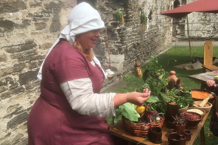 Fun and informed Tour of Conwy Castle and Town Castle Entrance Included ...