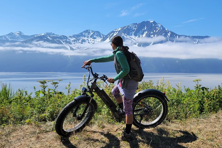 E-fat bike the Bird-to-Gird trail Harga Promo Terbaru 2023