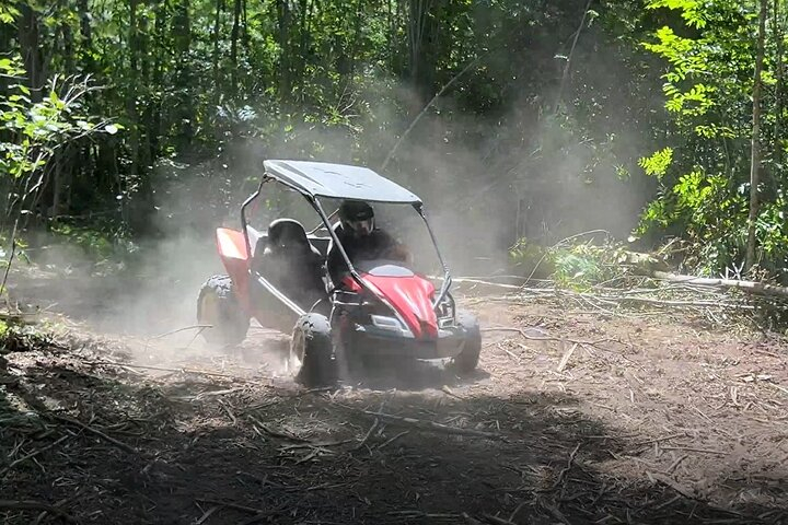 Duluth: Moose Lake: Triple Cross Dune Buggy Adventure Diskon 50% Paket Tur