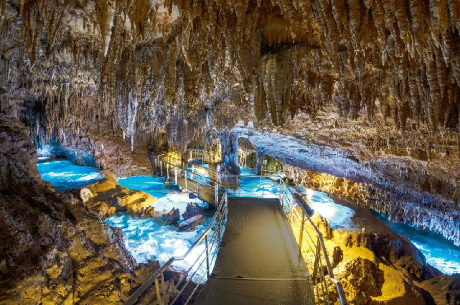 Tiket Okinawa Churaumi TokuToku 5 Pass Harga Promo - tiket.com