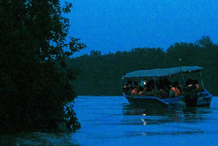 Twinkling Kuala Selangor Firefly Boat Tour from Kuala Lumpur Harga ...