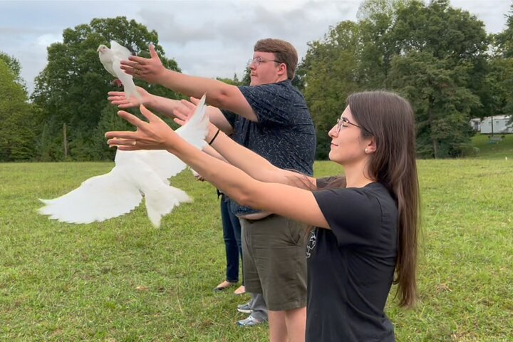 Meet, Greet and Fly trained Birds-of-Prey - Falconry in Tennessee ...