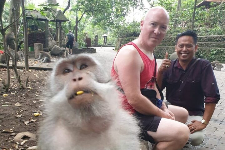 Tiket Kintamani volcano Tour | Ubud Monkey Forest | RiceTerrace | Tirta ...