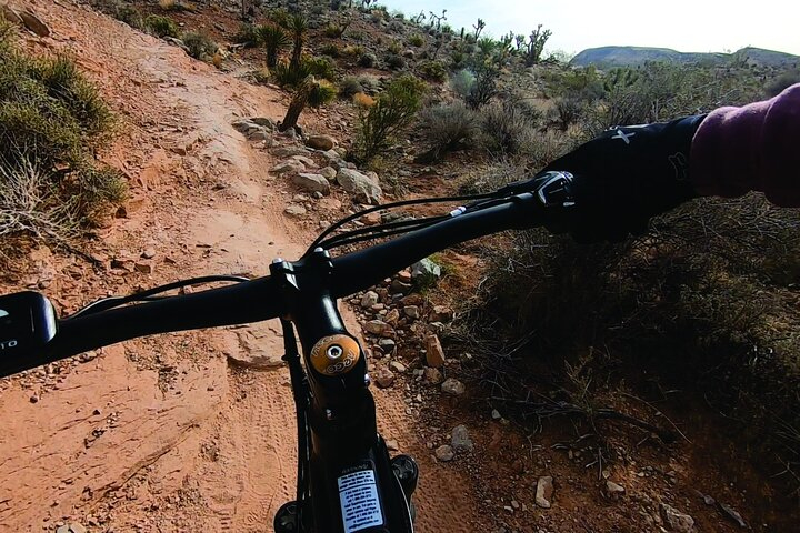 Half-Day Private Single Track Trails in Nevada - Latest Promotional Prices