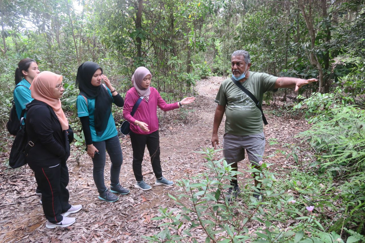 Desaru Beach & Intertidal Guided Walk Harga Promo Terbaru 2023