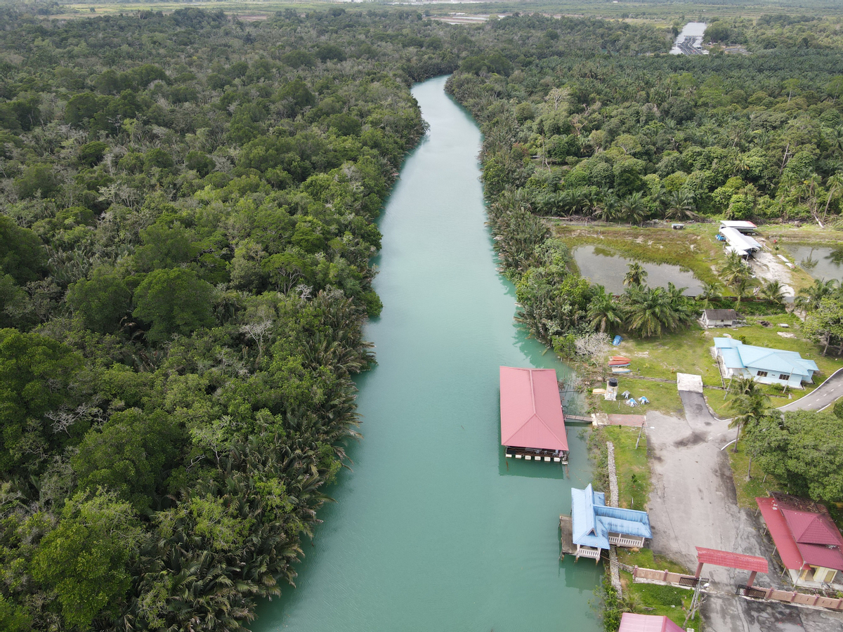 Sedili River Kayaking Harga Promo Terbaru 2023