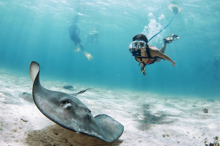 Snorkeling Experience on a NEMO Diving System Harga Promo Terbaru 2023