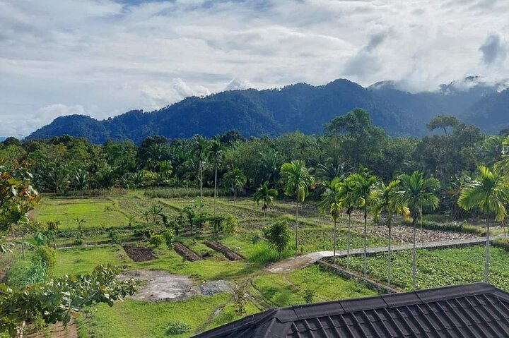 7 Days 6 Nights North Sumatra Tour (Bukit Lawang-Berastagi-Lake Toba) Harga Promo Terbaru