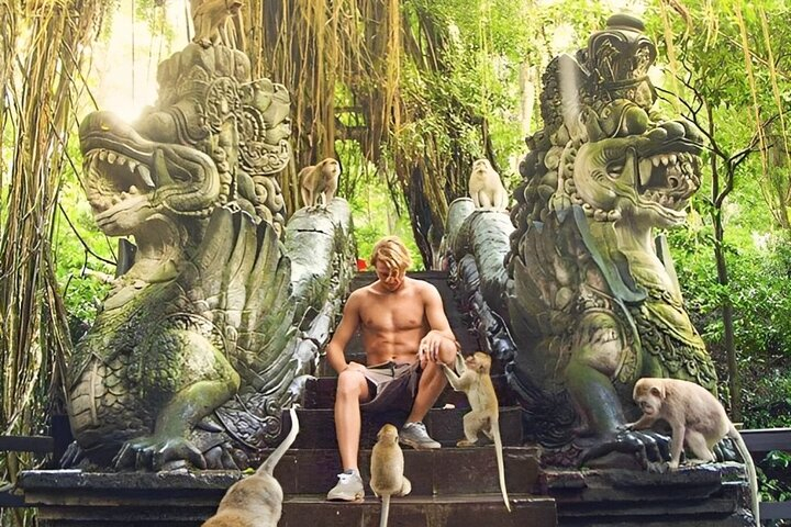 Ubud Tour With Sacred Monkey Forest Sanctuary - Waterfall - Rice Terrace Diskon 50% Harga Tiket ...