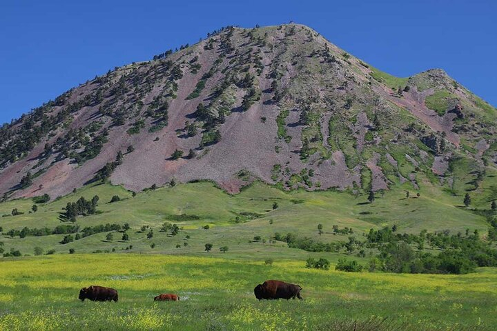 Sacred Sites - Devils Tower & Bear Butte (Private) Harga Promo Terbaru