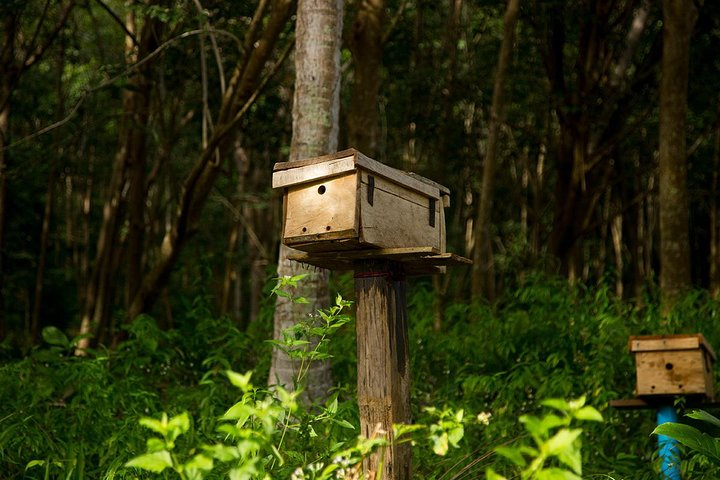 Koh Yao Native Touch Diskon 50% Paket Tur