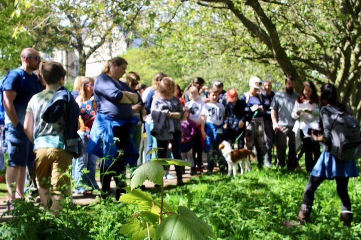Wild Food Foraging Walks in York Harga Promo Terbaru 2023