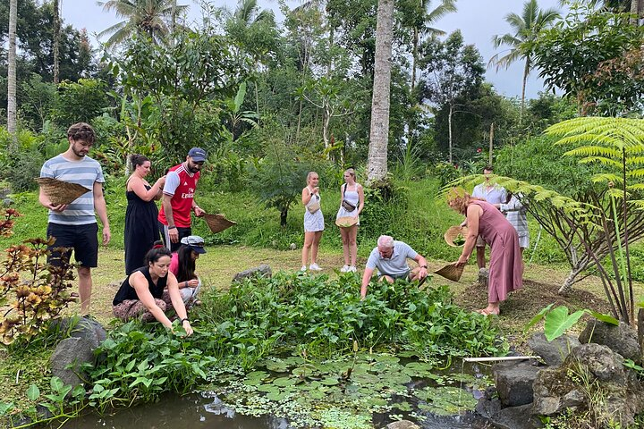 Bali Farm Cooking School & Organic Farm Harga Promo Terbaru 2023