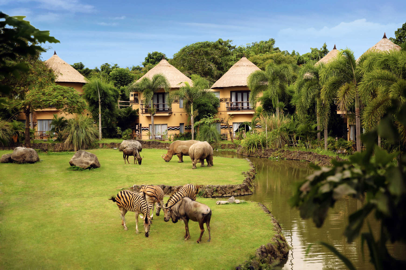 Tiket Bali Safari Park Ticket Harga Promo - tiket.com