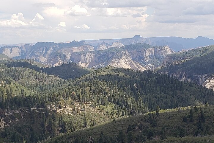 Zion/Kanab/Kolob - Petroglyphs, Slot Canyon, Vistas (Private-Full Day ...