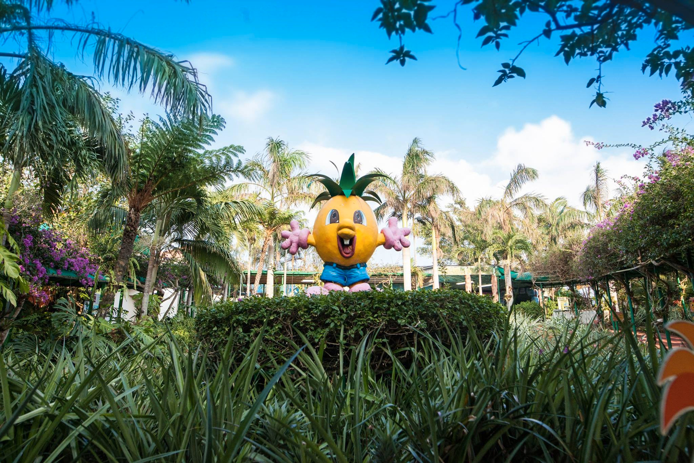 Okinawa Nago Pineapple Park Diskon 50% Harga Tiket Masuk