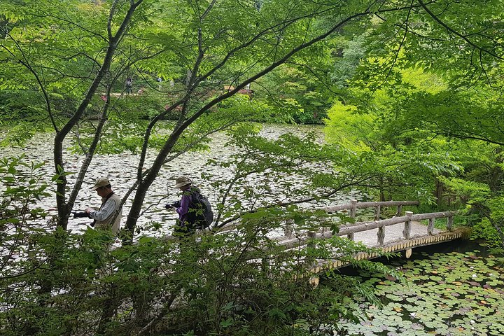 Private Car Day Trip to the Kobe Mountains, Gardens and Hot Springs ...