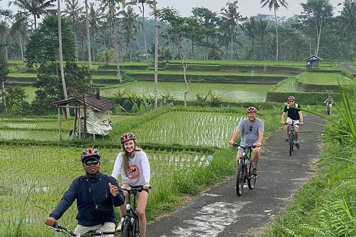 Ubud Cycling In bali all Inclusive 50% Off Entry Ticket Price