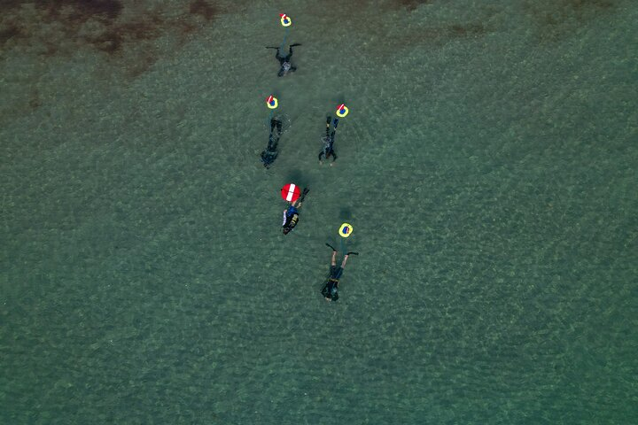 Snorkeling Experience on a NEMO Diving System Harga Promo Terbaru 2023